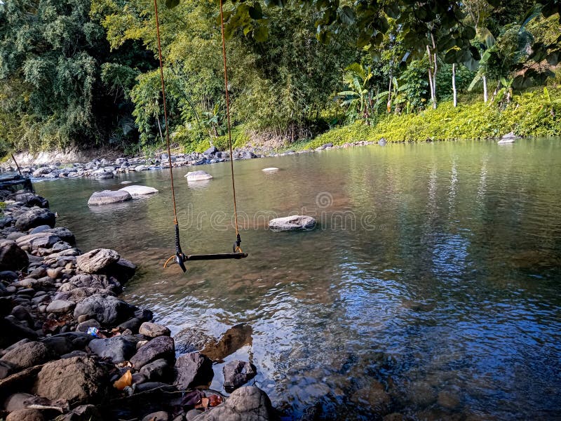 A swing by the river stock image. Image of water, tree - 270617859