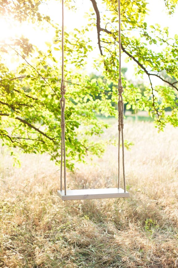 The swing stock image. Image of summer, branches, green - 55074733