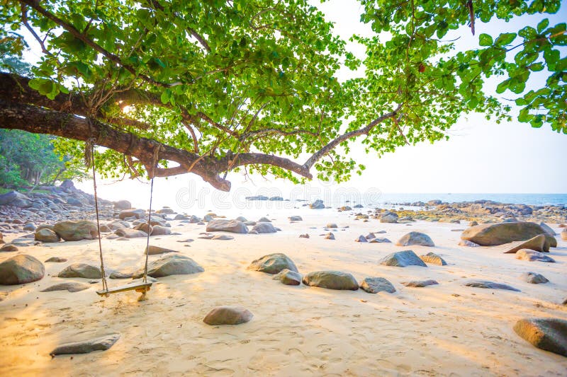 Swing on the Sand Beach. Under the Tree. Sand Beach with Rock Stock ...
