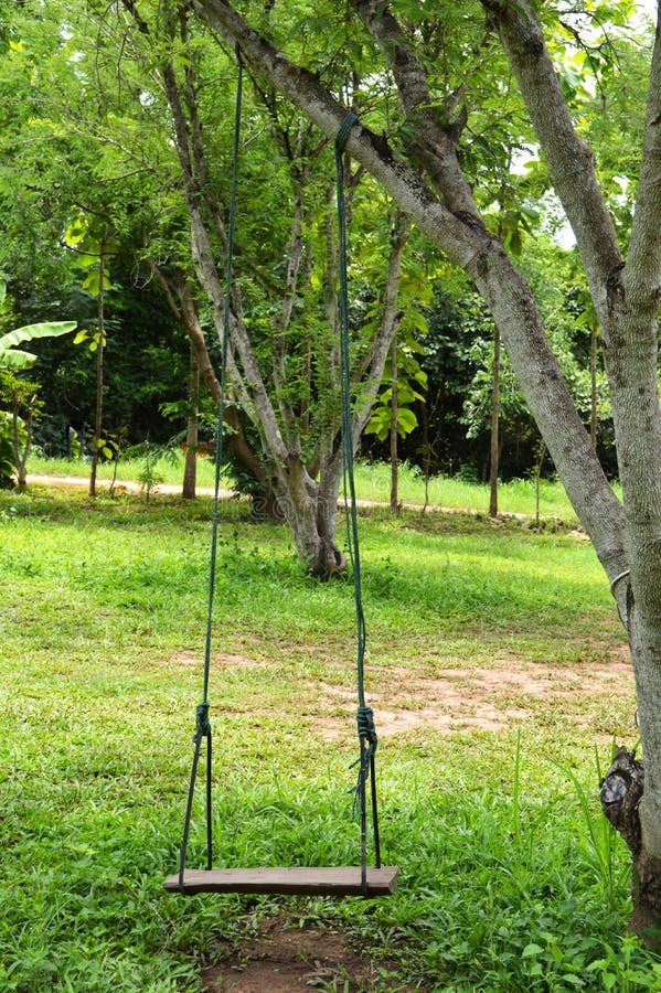Swing on Tree stock photo. Image of children, yard, innocence - 42265858