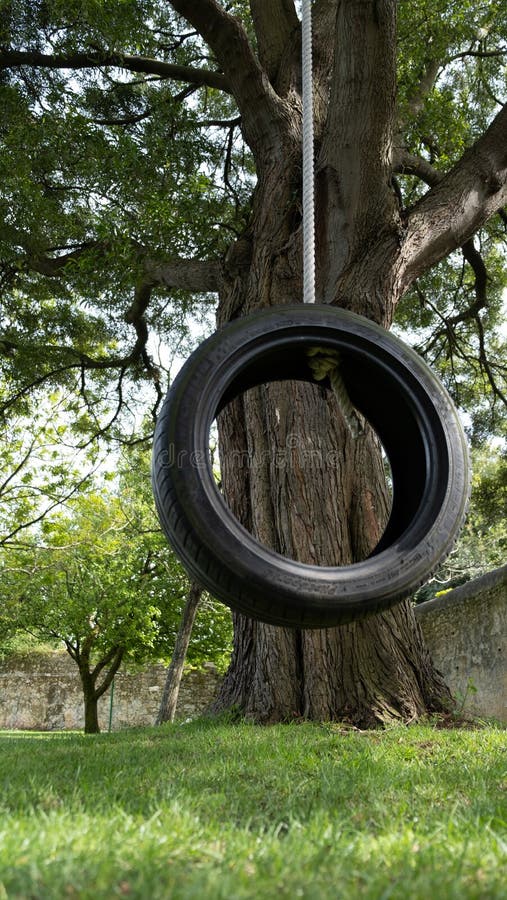 Swing in a Tree with a Wheel Car Stock Image - Image of vintage, wheel ...