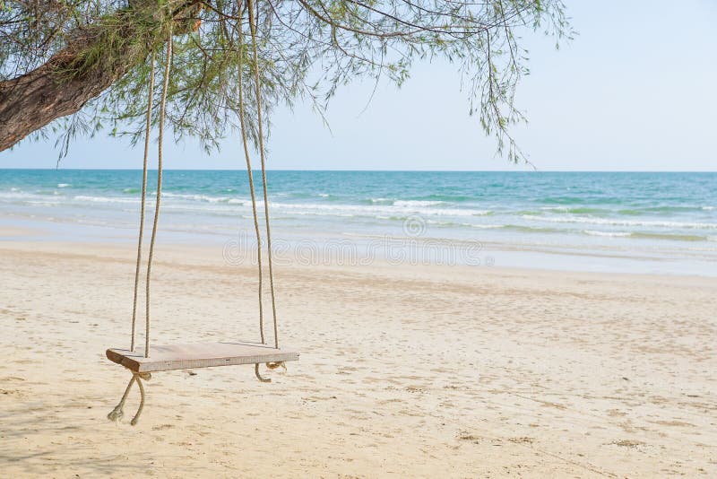 A Swing Under the Tree at the Beach Stock Photo - Image of lifestyle ...