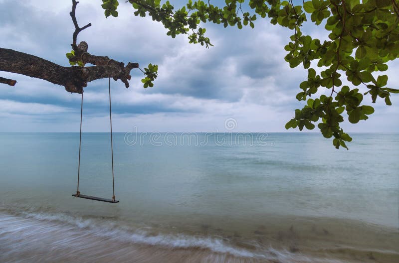 Swing Under the Trees on the Beach at Evening Stock Image - Image of ...