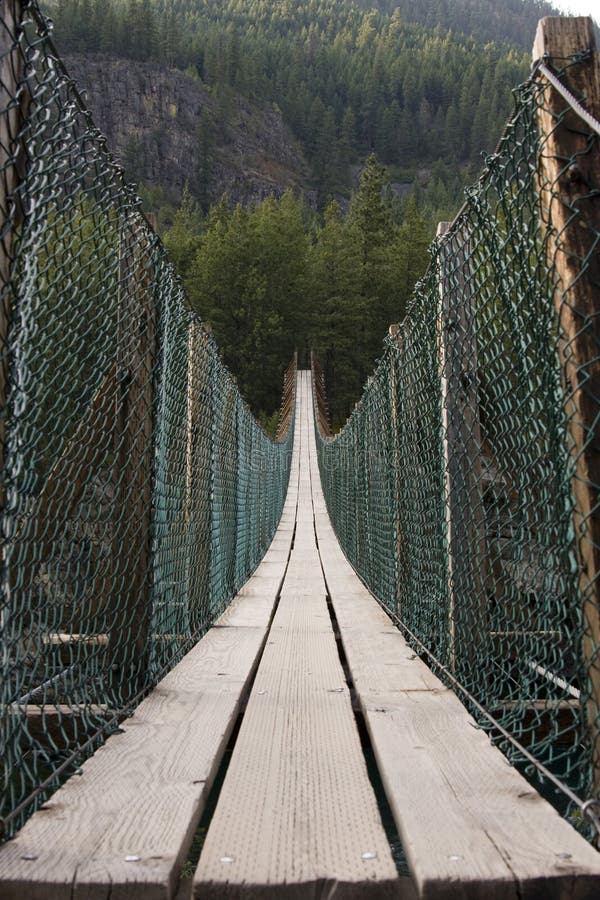 Swinging Bridge stock image. Image of swinging, span - 10693919