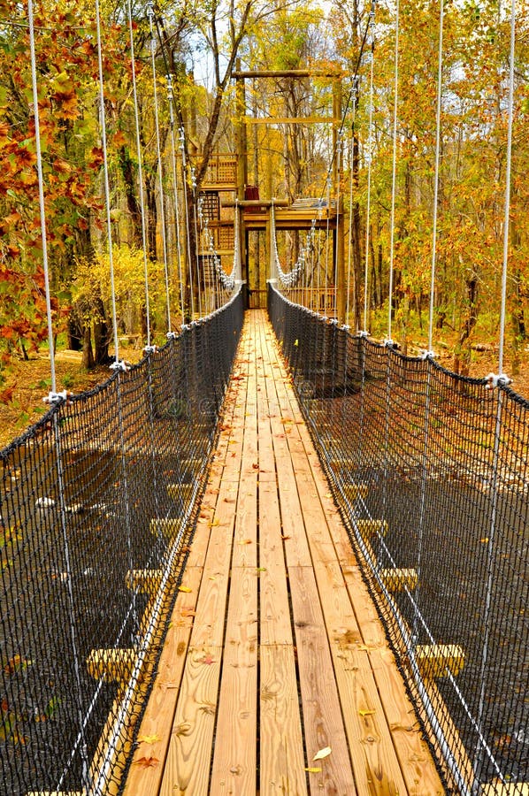 Swinging bridge in fall stock photo. Image of river, scenic - 20960628