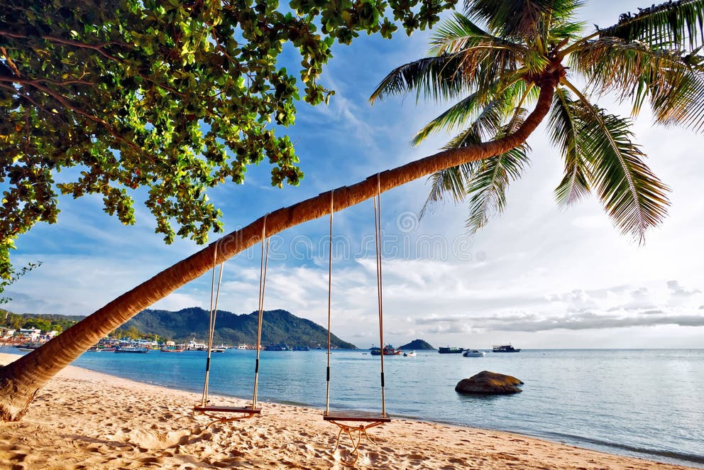 Swings on the Tropical Beach. Stock Photo - Image of enjoy, dusk: 19119198