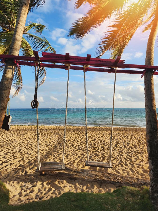 Swings and Palm on the Sand Tropical Beach. Stock Image - Image of ...