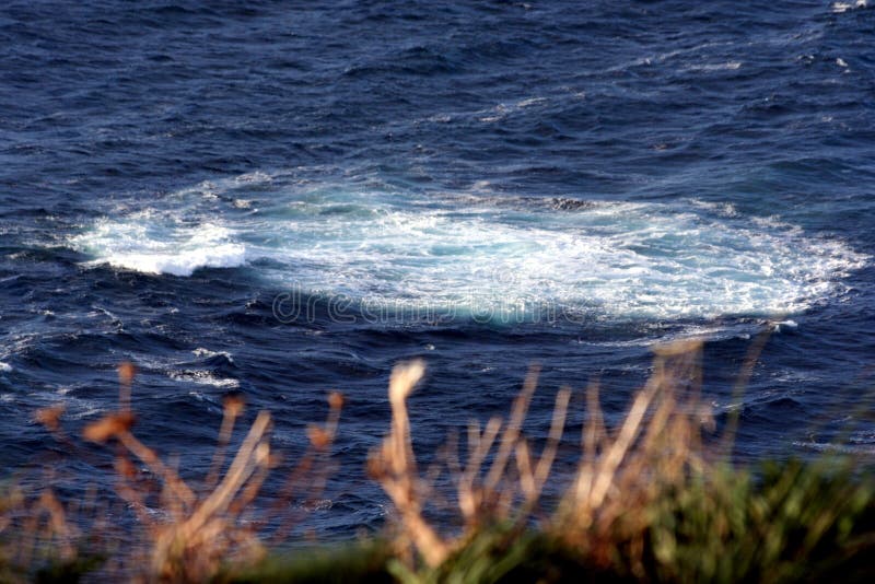 Swirl in the sea stock photo. Image of phenomenon, funnel - 143579078