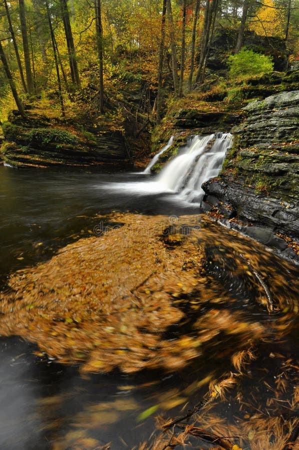 Swirling Autumn Leaves stock photo. Image of waterfall - 11877672