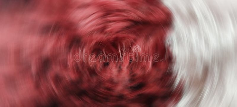 A Swirling Blur of a Shaggy Wool Rug for Texture or Background Stock ...