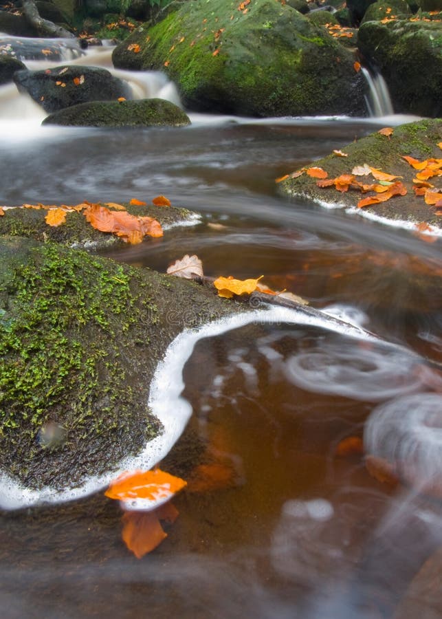 Swirling Leaves in a Stream Stock Image - Image of leaves, movement ...
