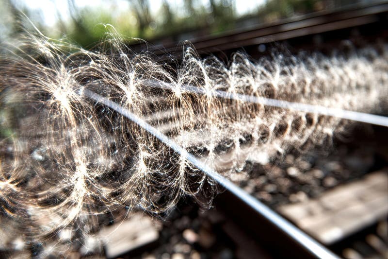 Quantum Entanglement Illustrated through Swirling Patterns on Train ...