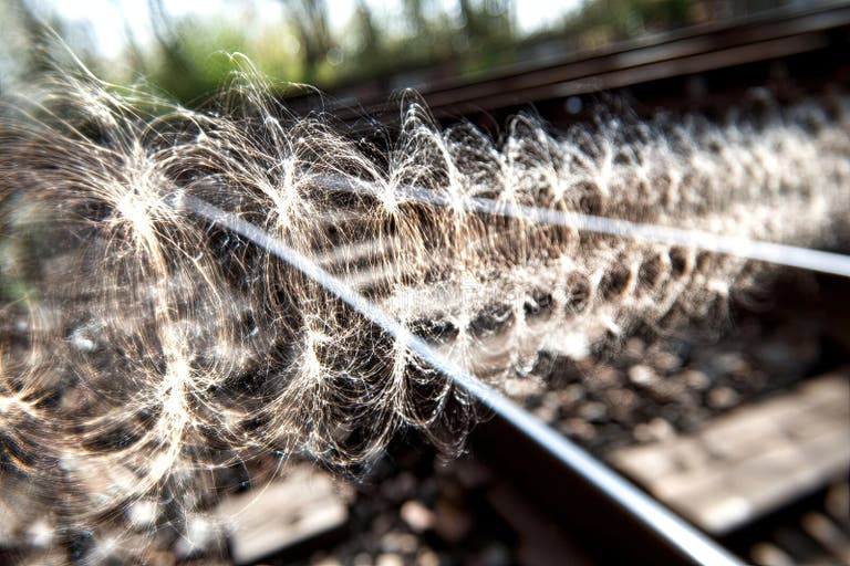 Quantum Entanglement Illustrated through Swirling Patterns on Train ...
