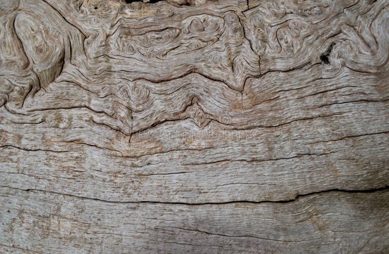 Patterns in natural wood. stock image. Image of background - 139933121