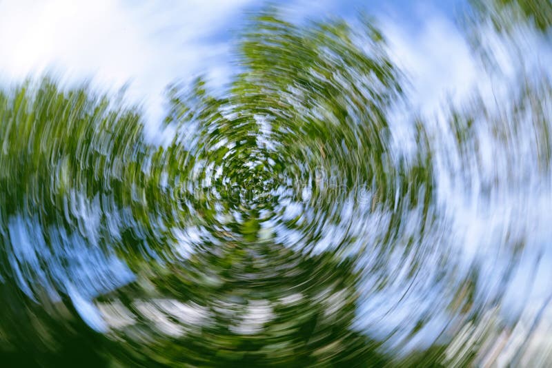 Swirl Shell stock image. Image of fanciful, educated, concentric - 9368633