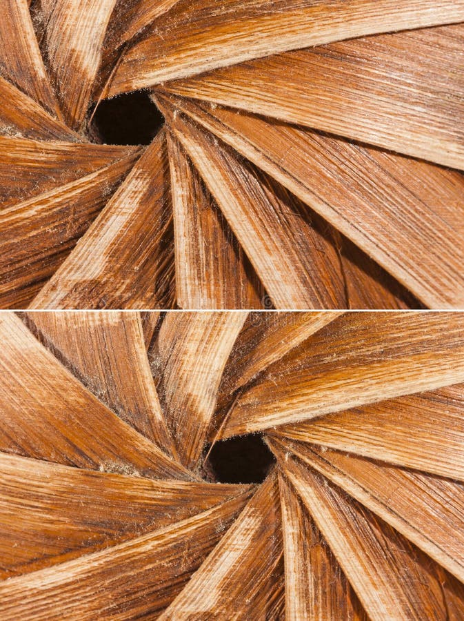 Swirls of Thin Timber Leaves Stock Image - Image of tree, brown: 24057631