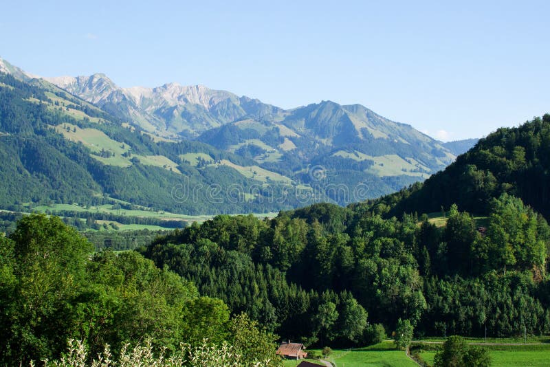 Swiss Alps stock image. Image of switzerland, summer - 17293491