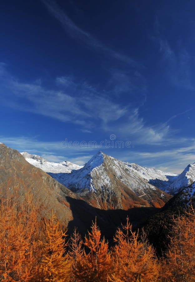 Swiss Alps stock image. Image of glacier, pine, activities - 21930369