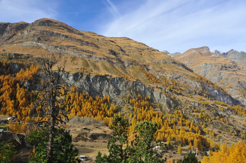 Swiss alps in the fall stock photo. Image of autumn, alps - 11591434