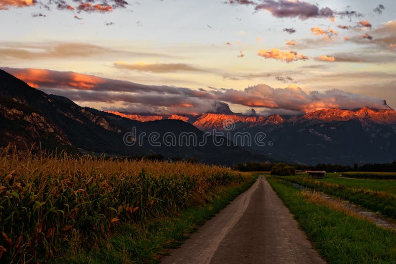 Swiss Alps in golden time stock image. Image of plantation - 257595379