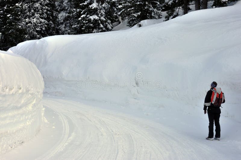 Swiss alps snow wall editorial image. Image of snowfall - 38408020