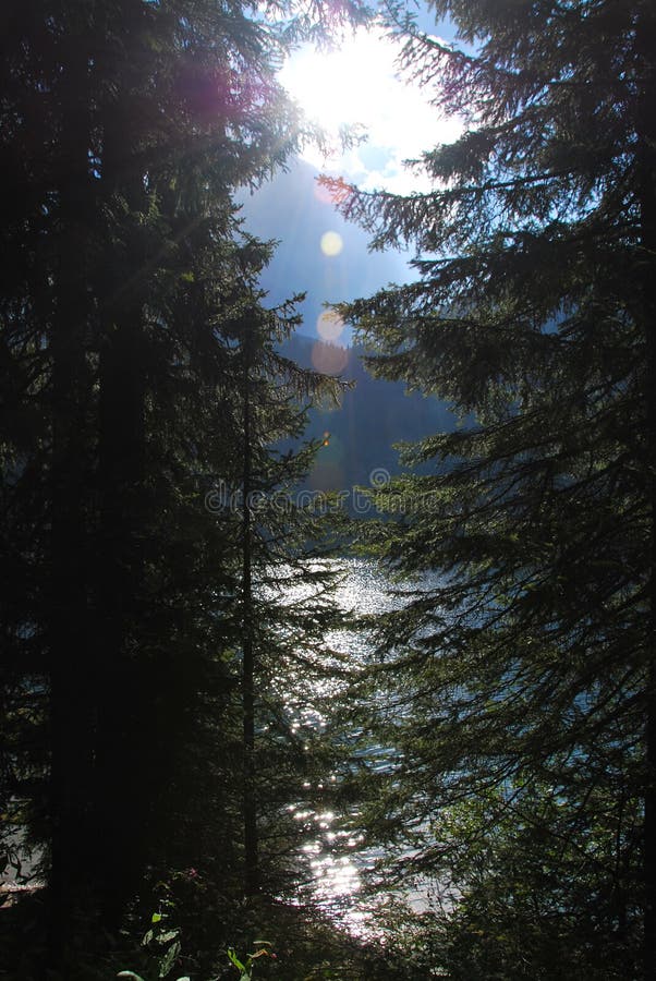 Swiss alps in summer stock photo. Image of alps, summer - 54597598