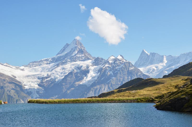 Swiss Bernese Alps stock photo. Image of agriculture - 29074292