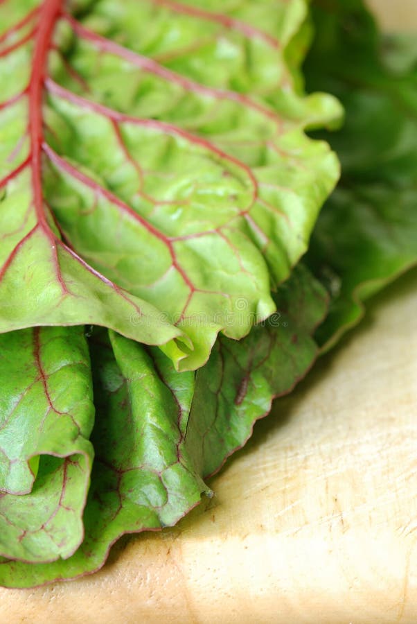Swiss chard stock image. Image of curly, vegetable, green - 18176155