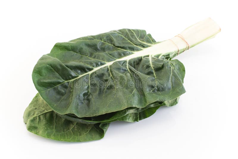 Swiss Chard Isolated on White Stock Photo - Image of leaves, vegetarian ...