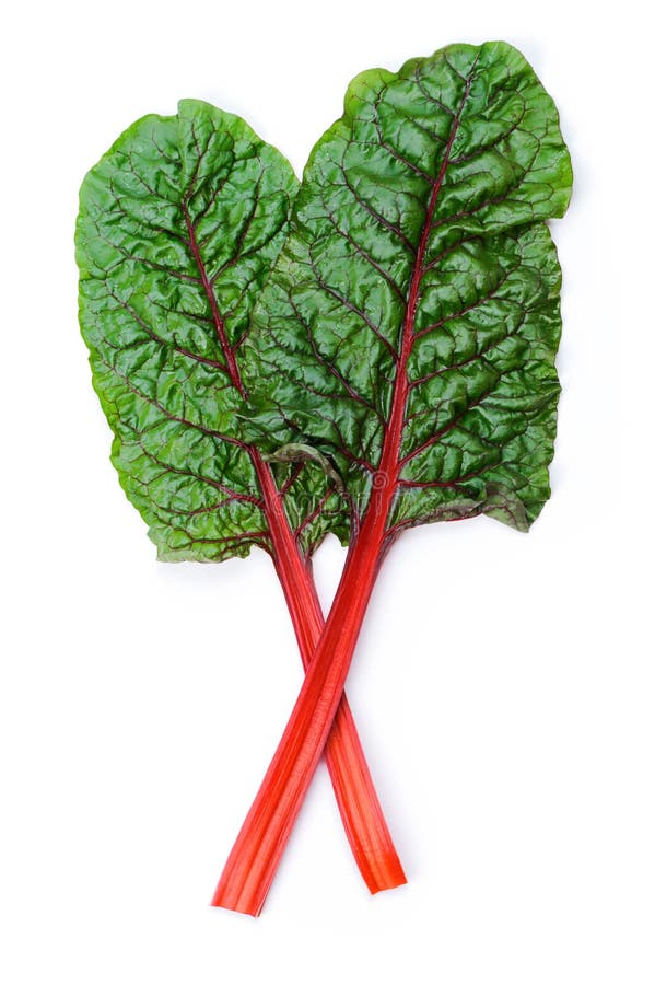 Closeup of Swiss Chard Stalks Stock Photo - Image of mangold, harvest ...