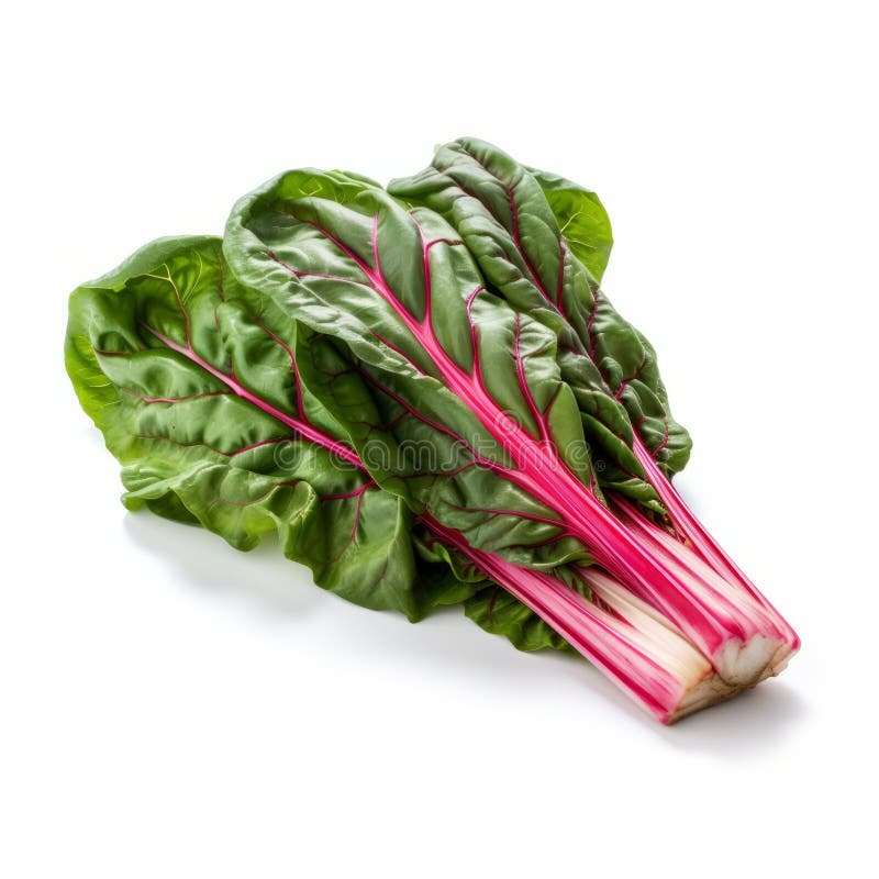 Swiss Chard: Vibrant Dark Pink and Light Green Bunch on White Surface ...