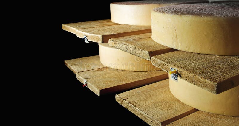Swiss cheese stock photo. Image of store, swiss, milk - 15689736