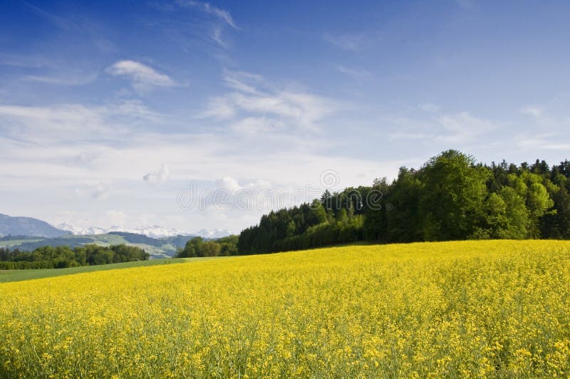 Swiss countryside stock photo. Image of close, concept - 5181560