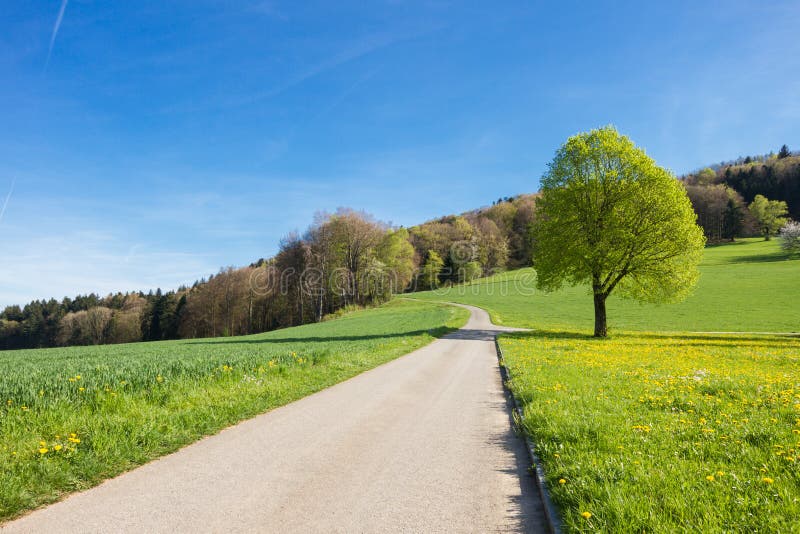 Swiss landscape stock image. Image of lawn, fair, rural - 39914747