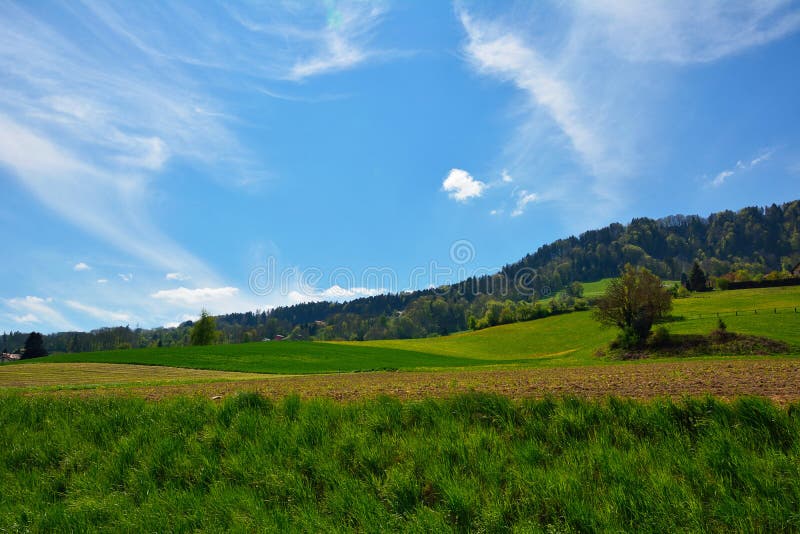 Swiss Landscape Countryside during Spring Stock Photo - Image of nature ...