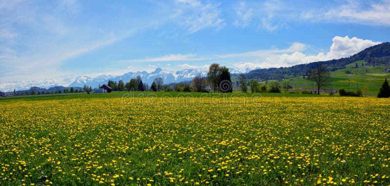 Swiss Landscape Countryside during Spring Season Stock Photo - Image of ...