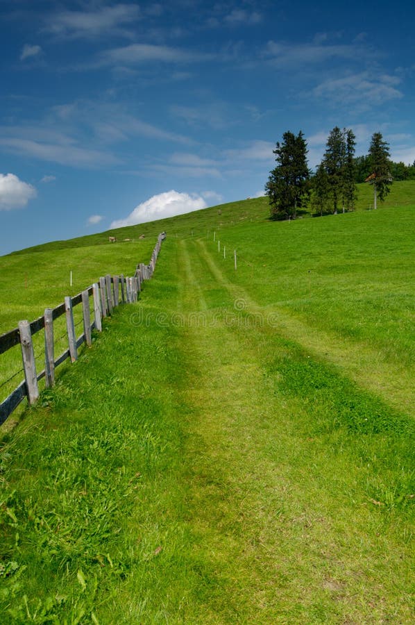 Swiss Meadows stock image. Image of switzerland, serenity - 3304281