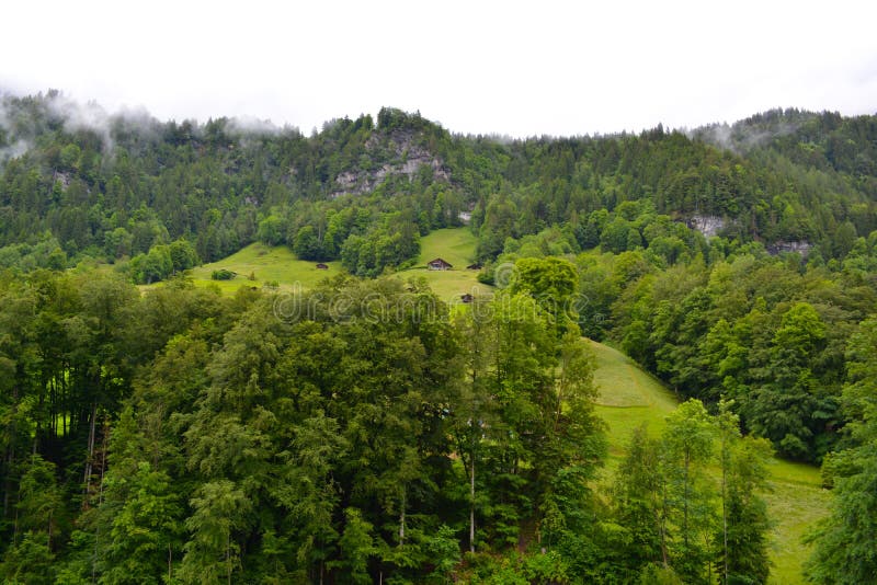 Swiss mountain trees stock photo. Image of hotel, charming - 74442982