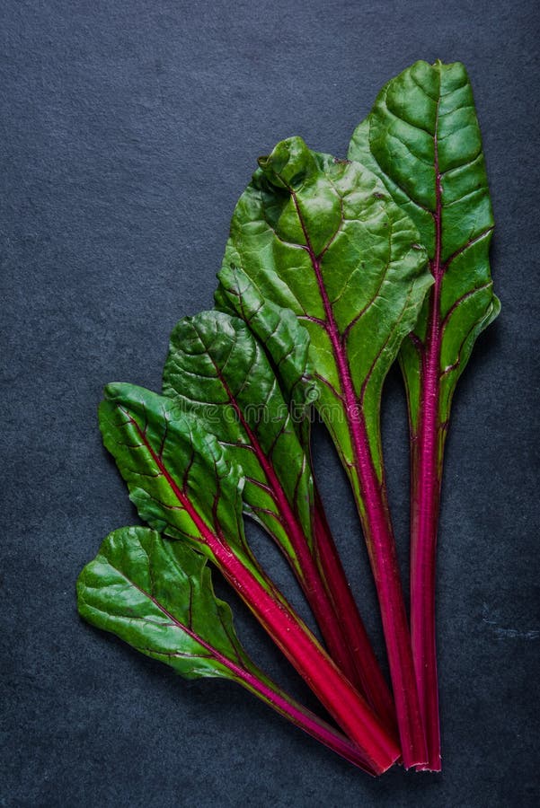 Swiss Rainbow Chard, Vibrant Vegetable Stock Photo - Image of plant ...