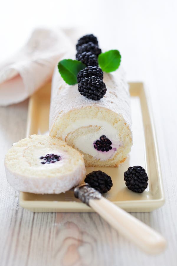 Chocolate Roll Cake with Coconut and Raspberry Filling Stock Image ...