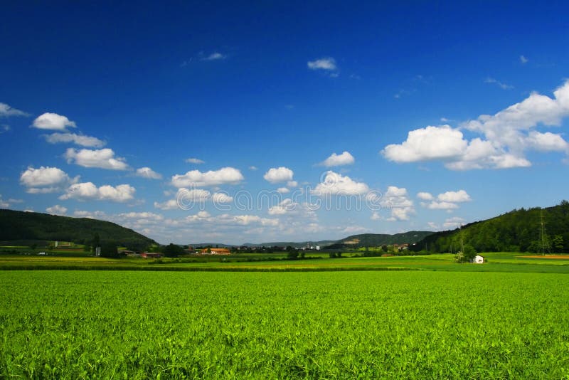 SWISS SUNNY FIELDS, SWITZERLAND Stock Photo - Image of field, color ...