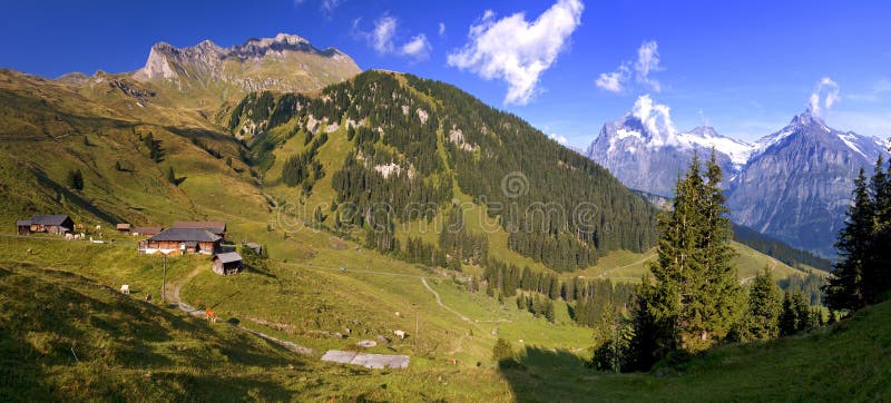 Swiss Valley - Grindelwald stock photo. Image of busalp - 12449014