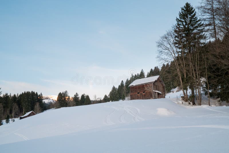 Swiss Winter - Hut in the Forest Stock Photo - Image of agriculture ...