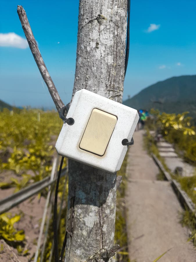 A Switch Tied To a Dry Tree in the Hills Stock Photo - Image of tied ...