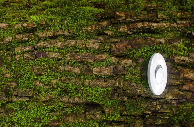 The switch in the woods stock photo. Image of outlet - 44194188