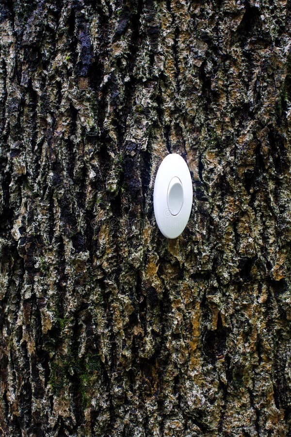 The switch in the woods stock image. Image of generation - 44194245