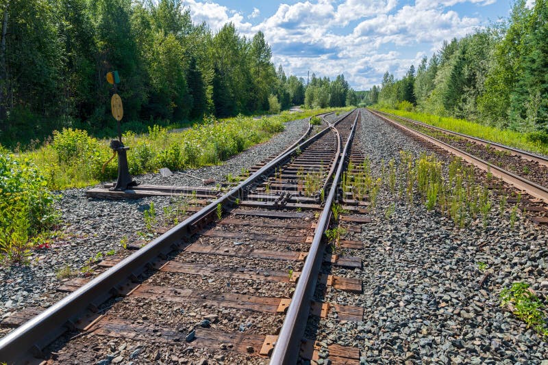 Switched Railroad Tracks Running through the Forest in British C Stock ...