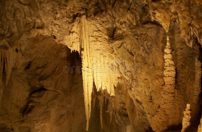 Millenarian Forms Stock Photos - Free & Royalty-Free Stock Photos from ...