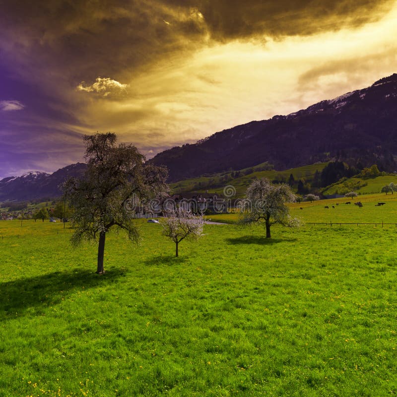 Switzerland at Sunset stock image. Image of grass, green - 83284809