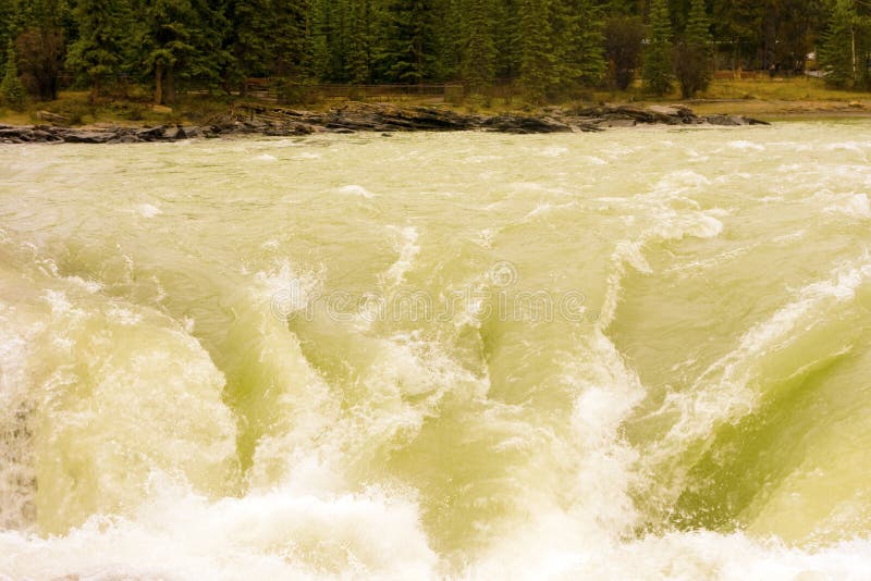 A Swollen River with a Strong Current Stock Photo - Image of trees ...